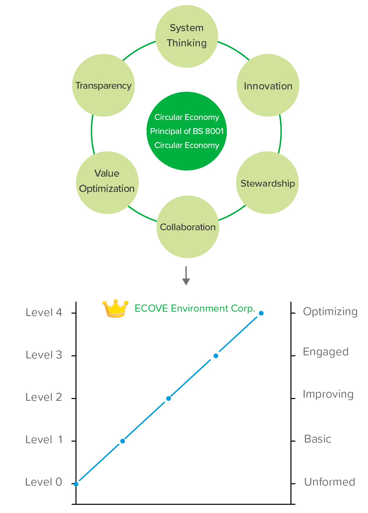 ECOVE Claims the World's First BS 8001 Certification, Becoming the ...