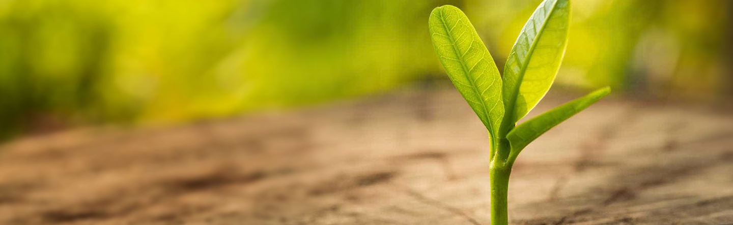 A New Era of Waste Management: ECOVE’s Smart One-Stop Service - ECOVE e ...